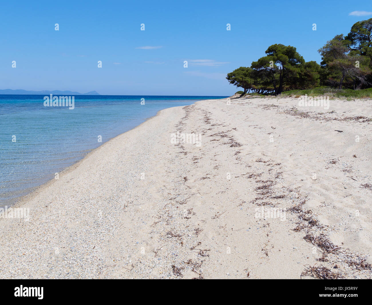 Sea beach view with blue water yellow sand and green forest Stock Photo ...