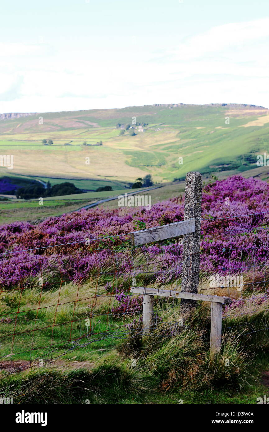 Step over fence hi-res stock photography and images - Alamy