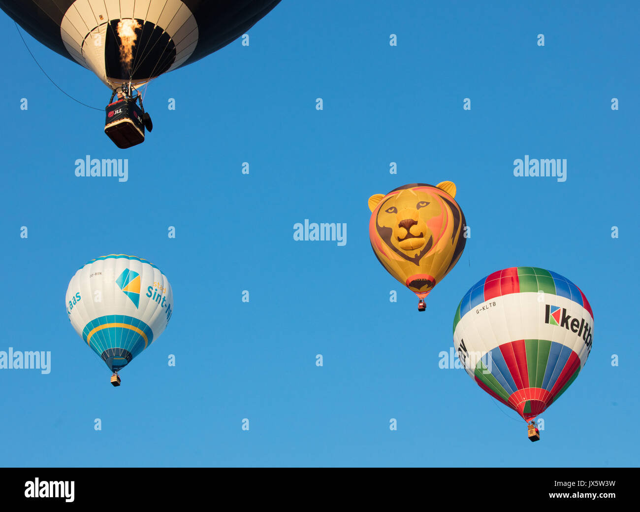 Some of the 130 plus balloons launched at dawn during the mass ascent ...
