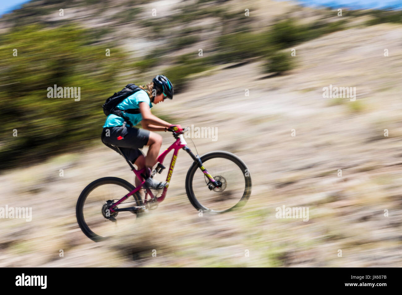 Female muscles human body hi-res stock photography and images - Alamy