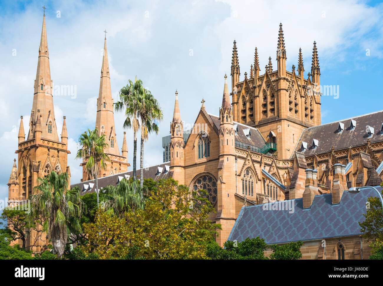 Nsw Australia Cathedral Stock Photos & Nsw Australia Cathedral Stock ...