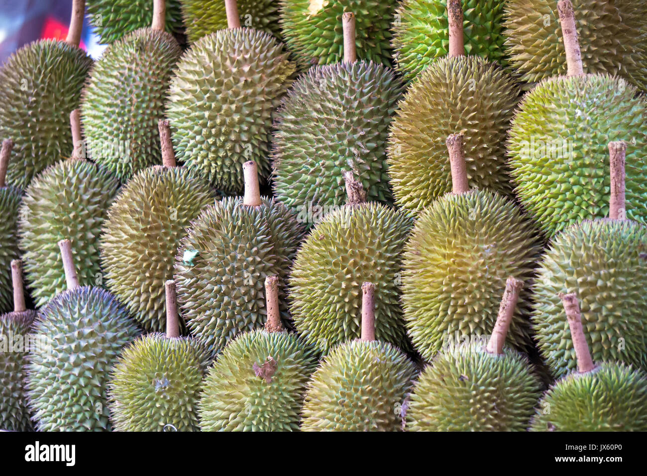 Durian for sale in Kota Kinabalu, Sabah Borneo, Malaysia Stock Photo ...