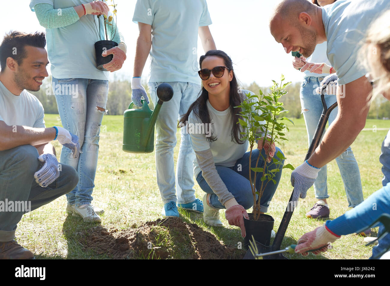 group of volunteers planting tree in park Stock Photo - Alamy