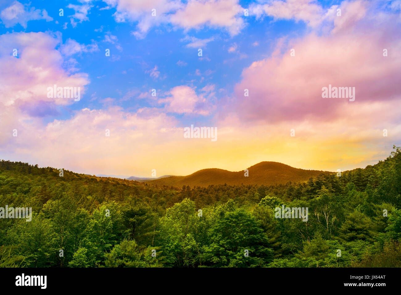 Adirondack park hi-res stock photography and images - Alamy
