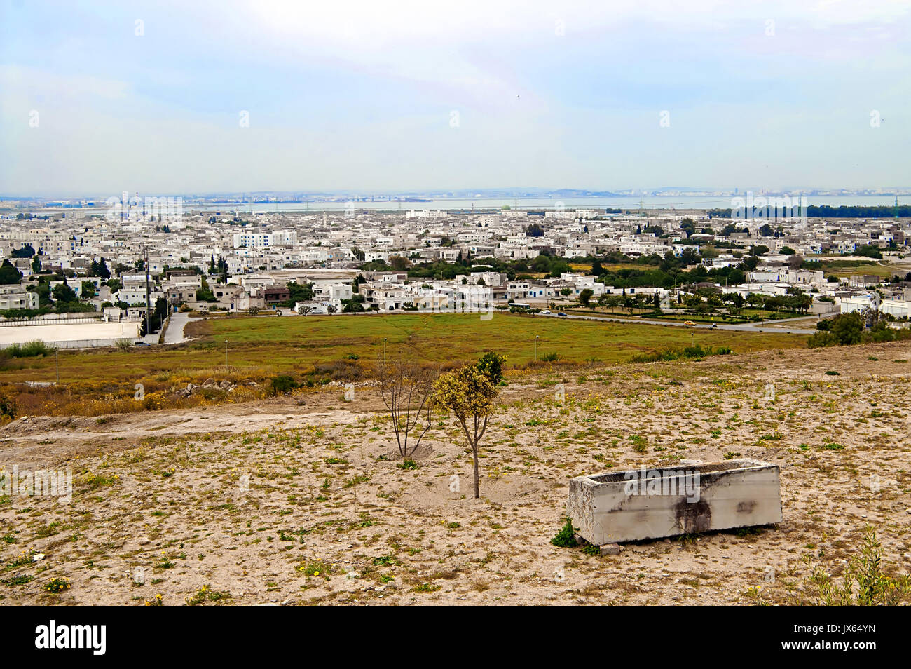 Nice view of Cartage city in Tunisia Stock Photo - Alamy