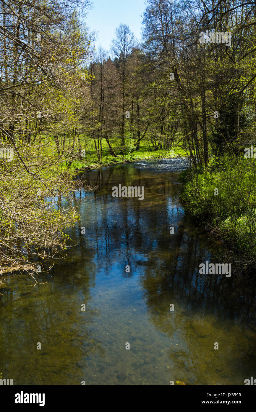 A hike in Altensteig, in the northern black forrest in the early spring ...