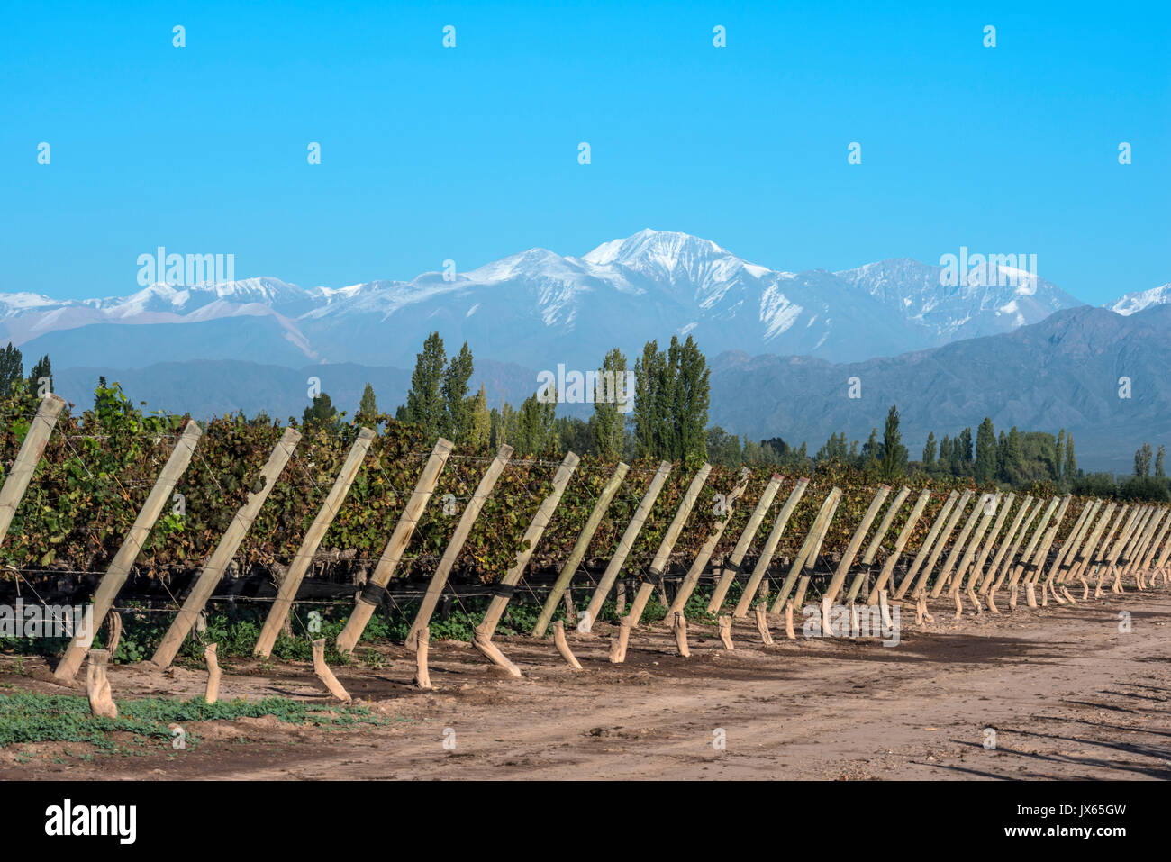 Early morning in the late autumn: Volcano Aconcagua Cordillera and ...