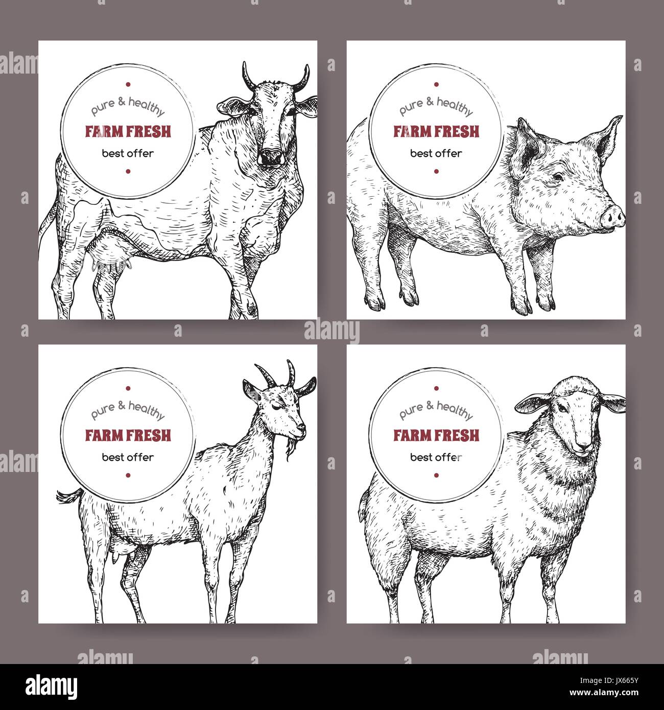 Four labels with hand drawn farm animals sketches. Great for organic ...