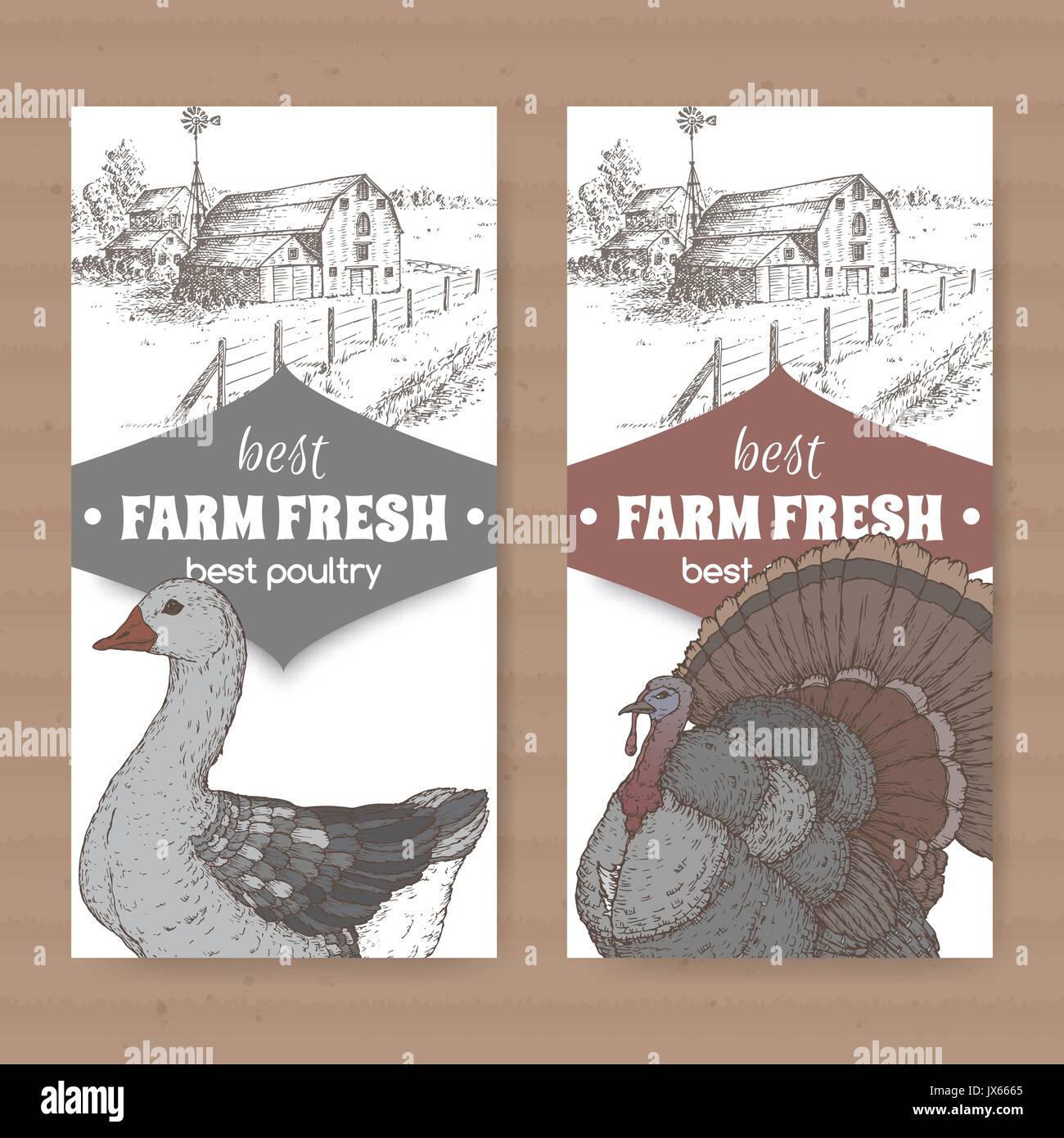 Old goose Stock Vector Images - Alamy