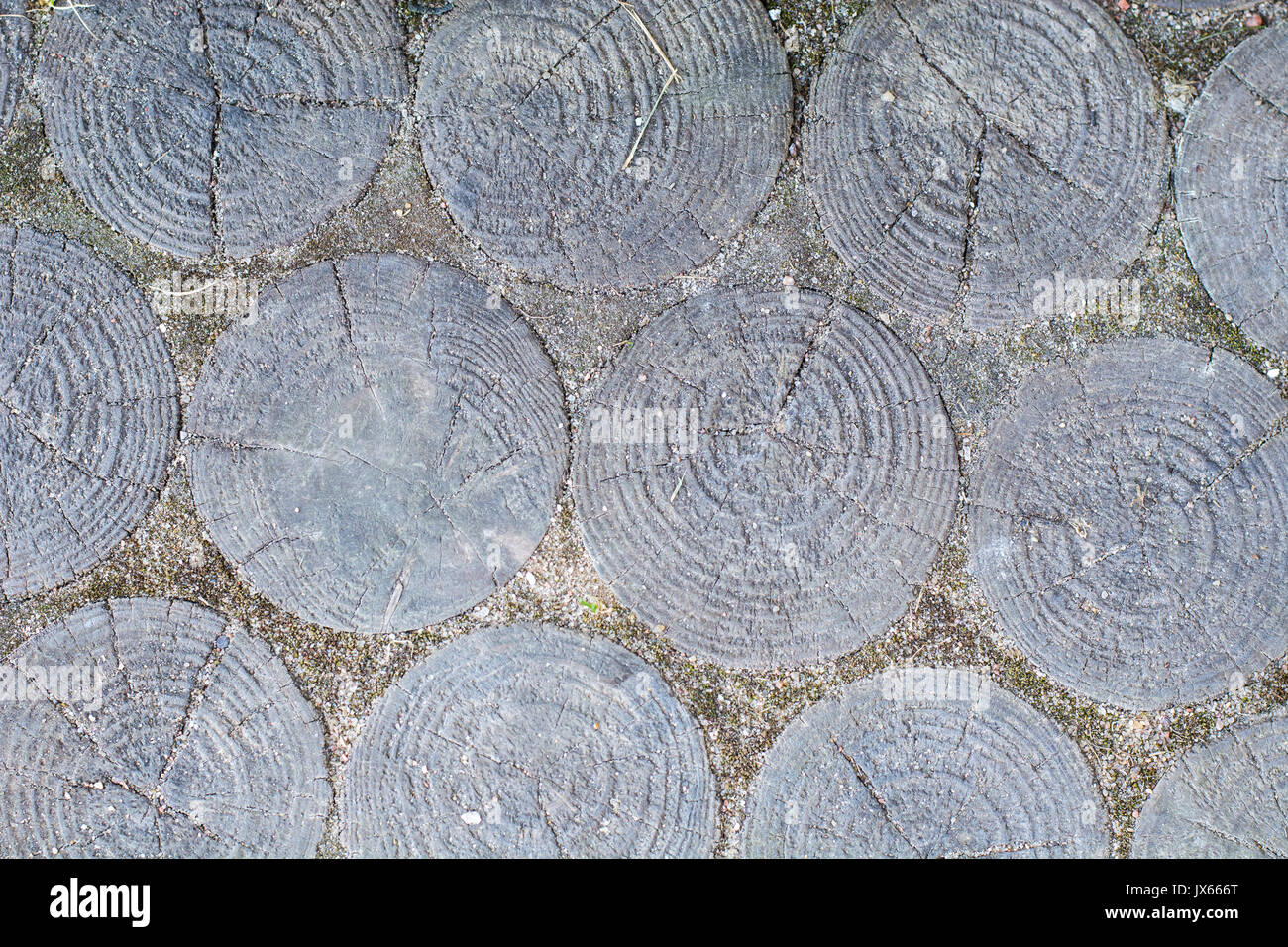 Old wooden garden path. Studio Photo Stock Photo - Alamy