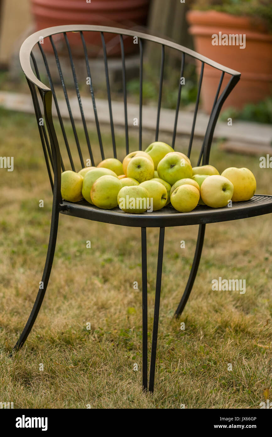 Basic chair hi-res stock photography and images - Alamy