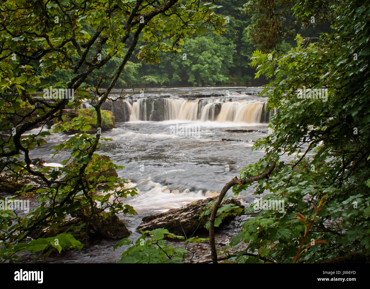 Framed view of the higher falls at Aysgarth Stock Photo - Alamy