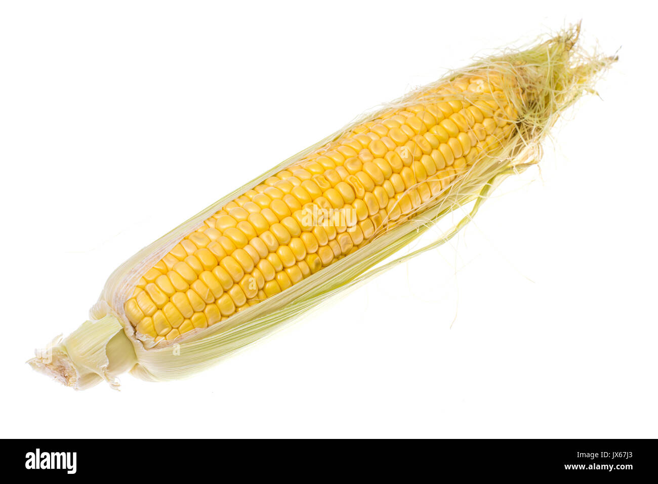 Raw peeled corn cob. Studio Photo Stock Photo - Alamy