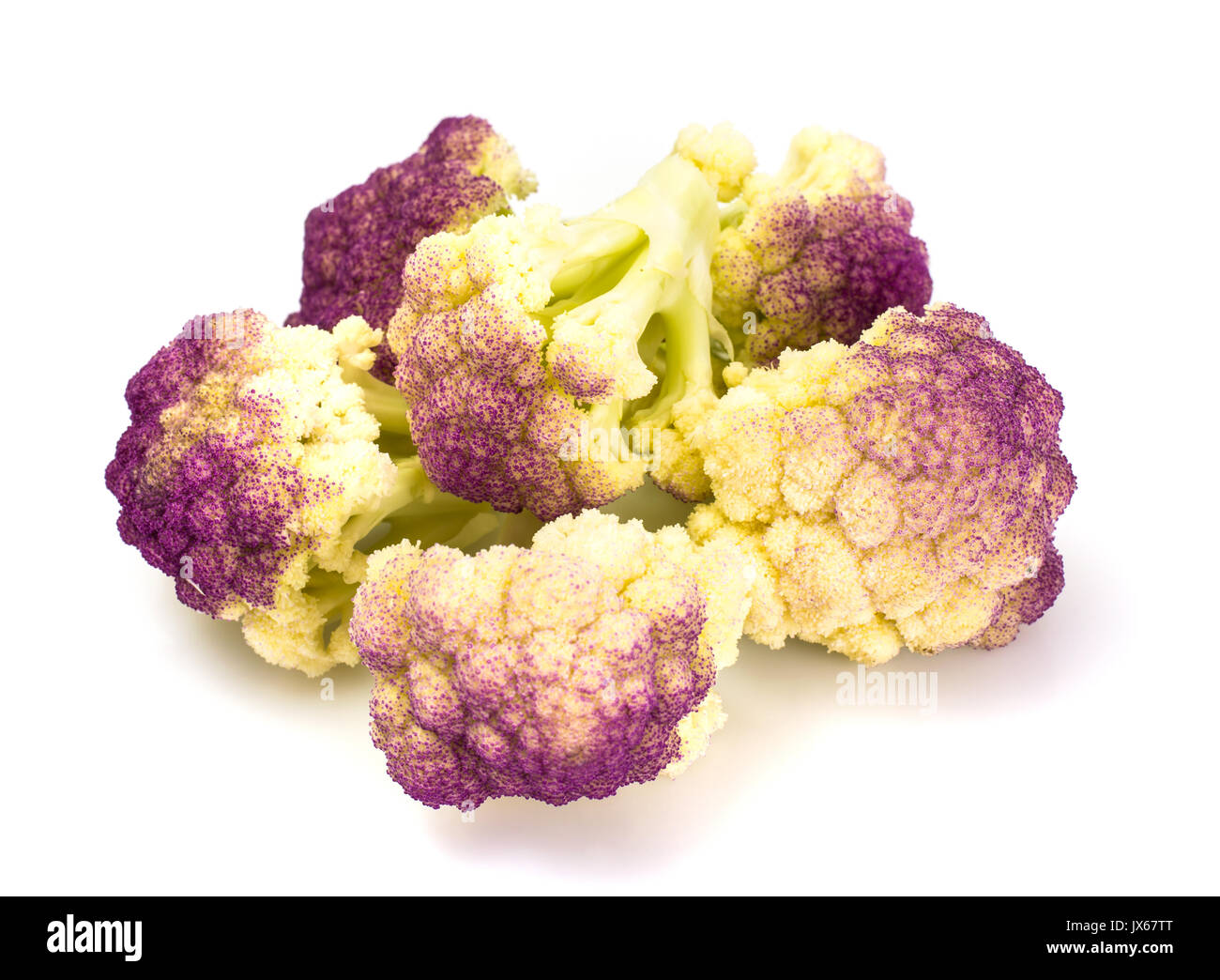 Italian purple cauliflower. Studio Photo Stock Photo - Alamy