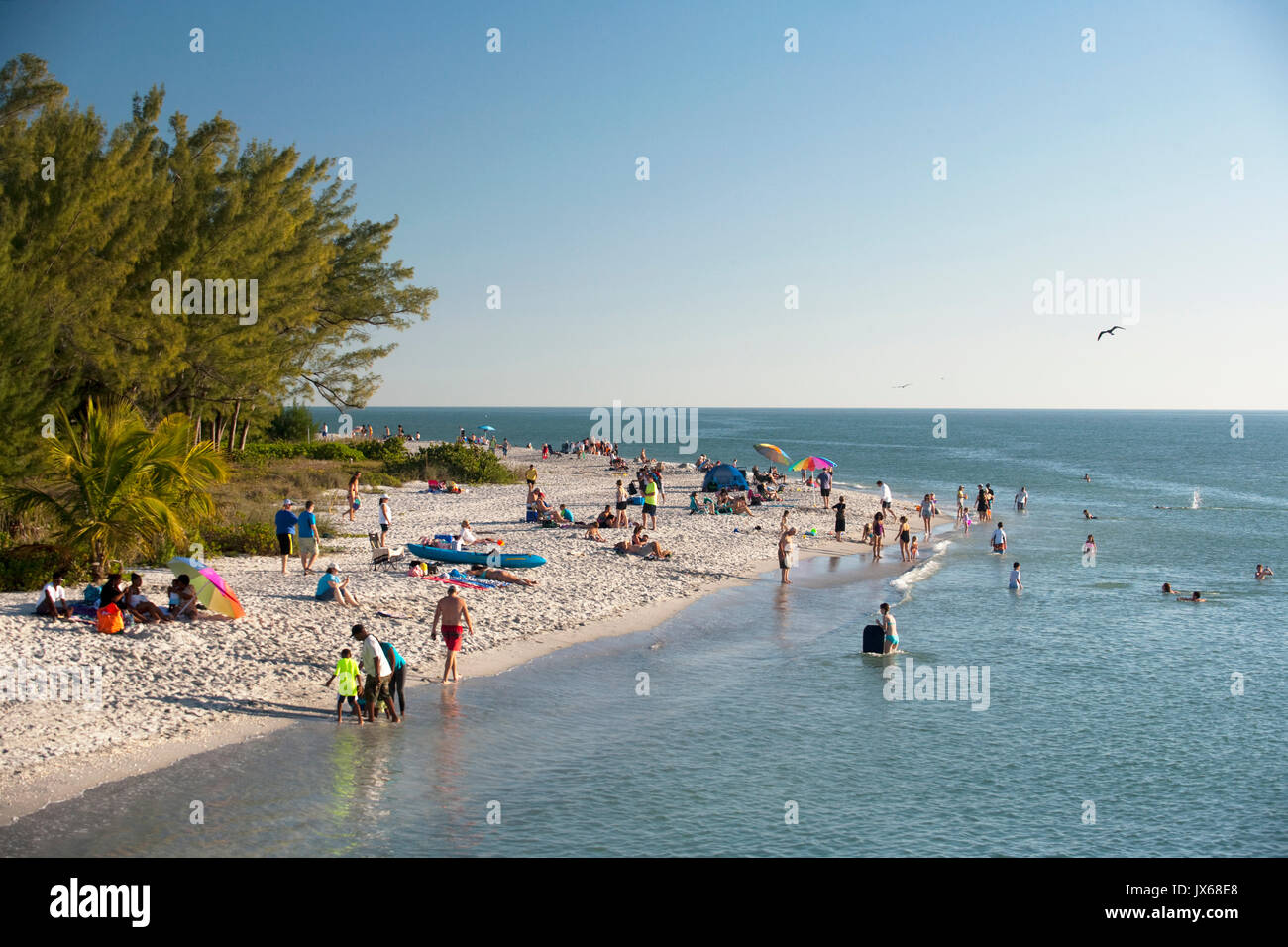 Sanibel Island, Florida beach Stock Photo - Alamy