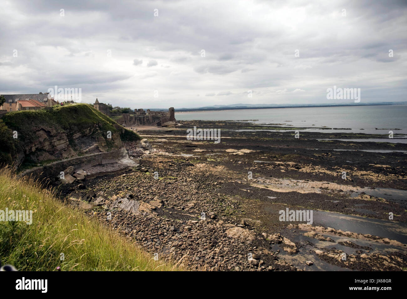 St andrews cliffs hi-res stock photography and images - Alamy