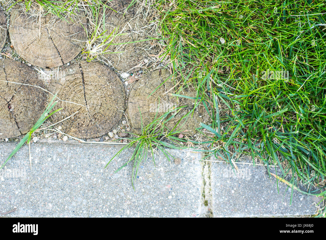 Old wooden garden path. Studio Photo Stock Photo - Alamy