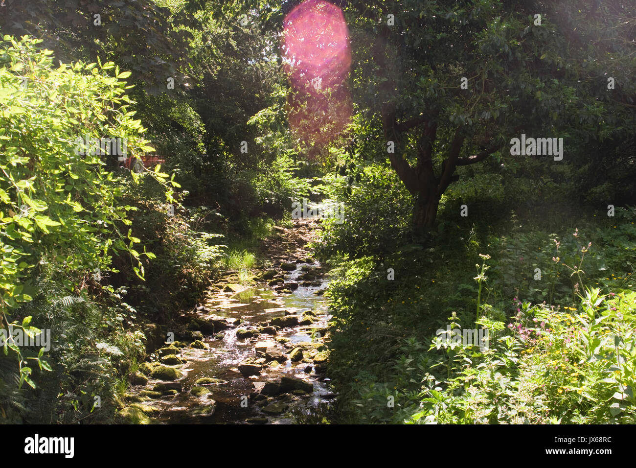 Cambo estate scotland hi-res stock photography and images - Alamy