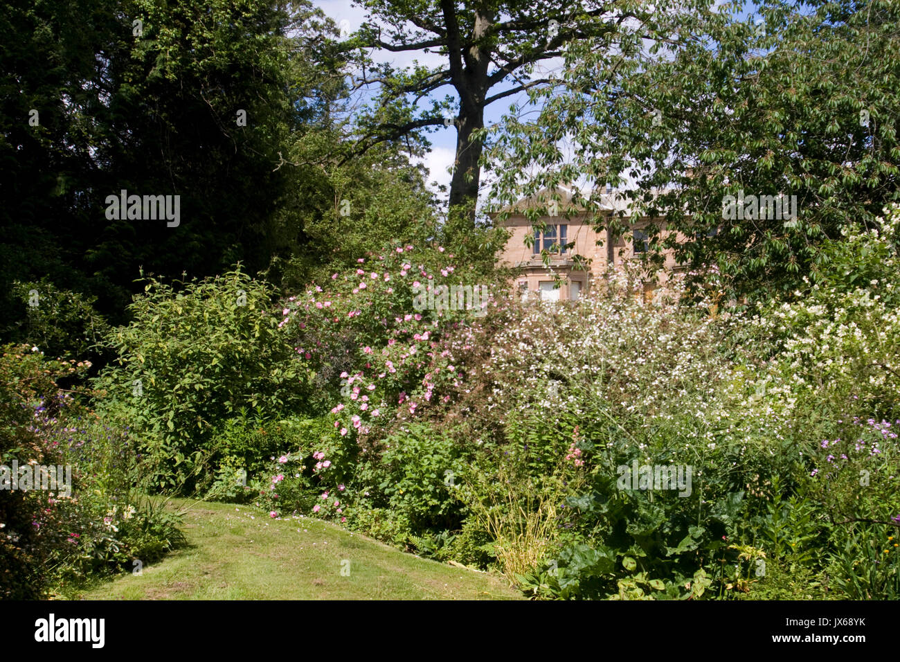 Cambo estate hi-res stock photography and images - Alamy
