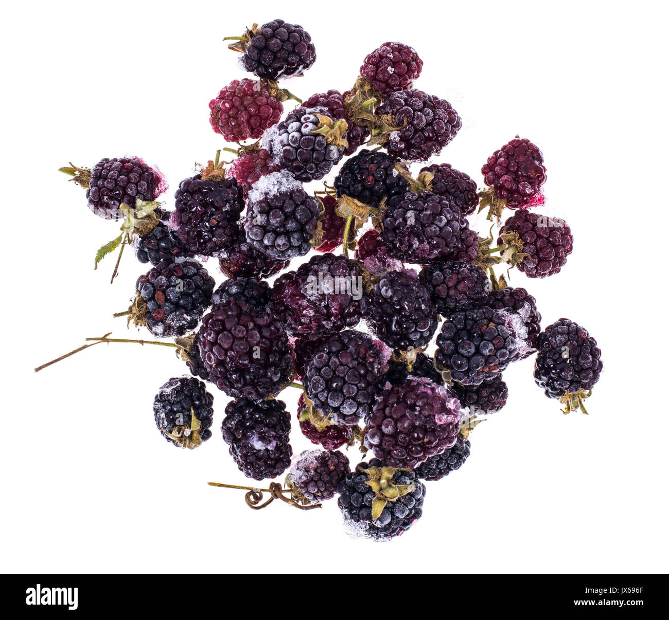 Bunch of frozen blackberries on white. Studio Photo Stock Photo - Alamy