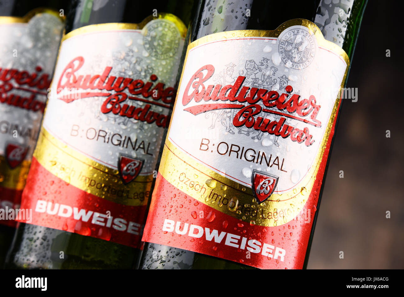 Glass of budvar hi-res stock photography and images - Alamy