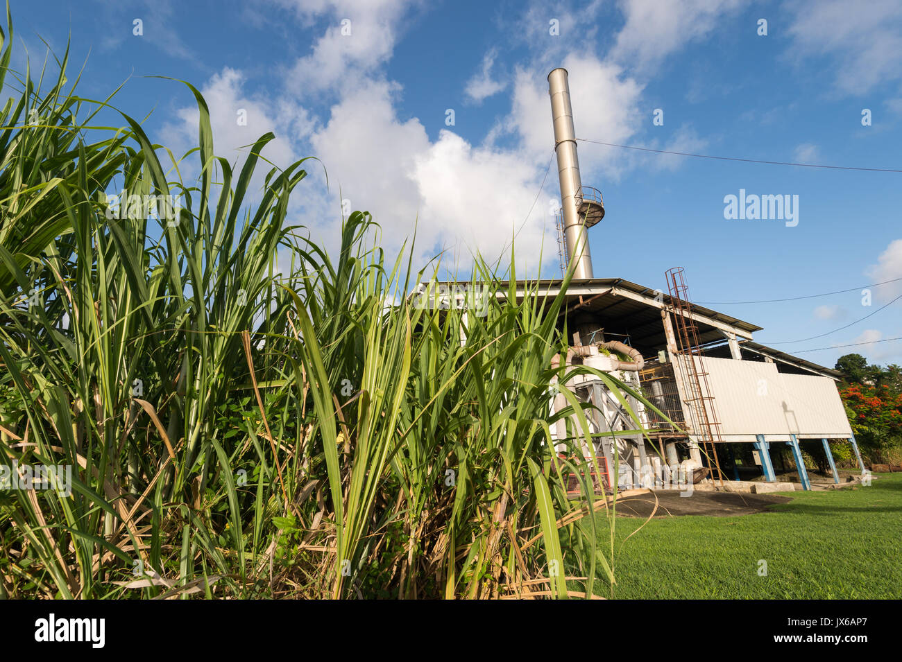 Rhum factory hi-res stock photography and images - Alamy