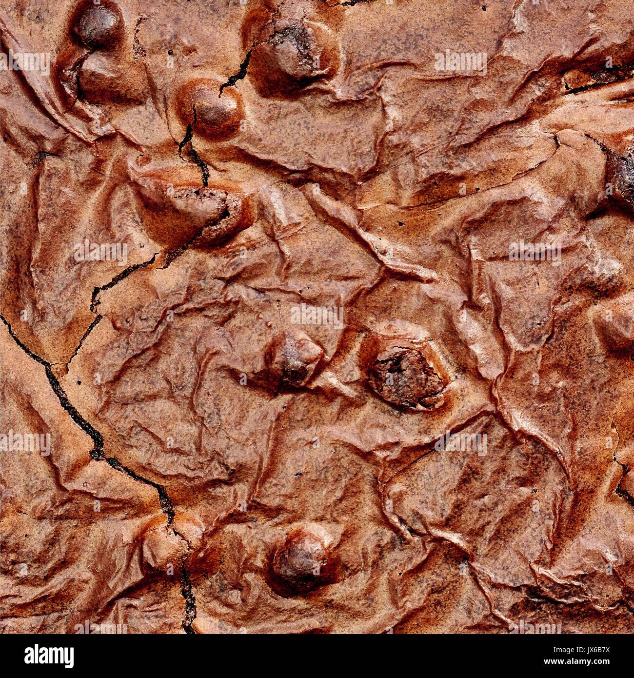 A studio photo of a chocolate fudge slice Stock Photo - Alamy
