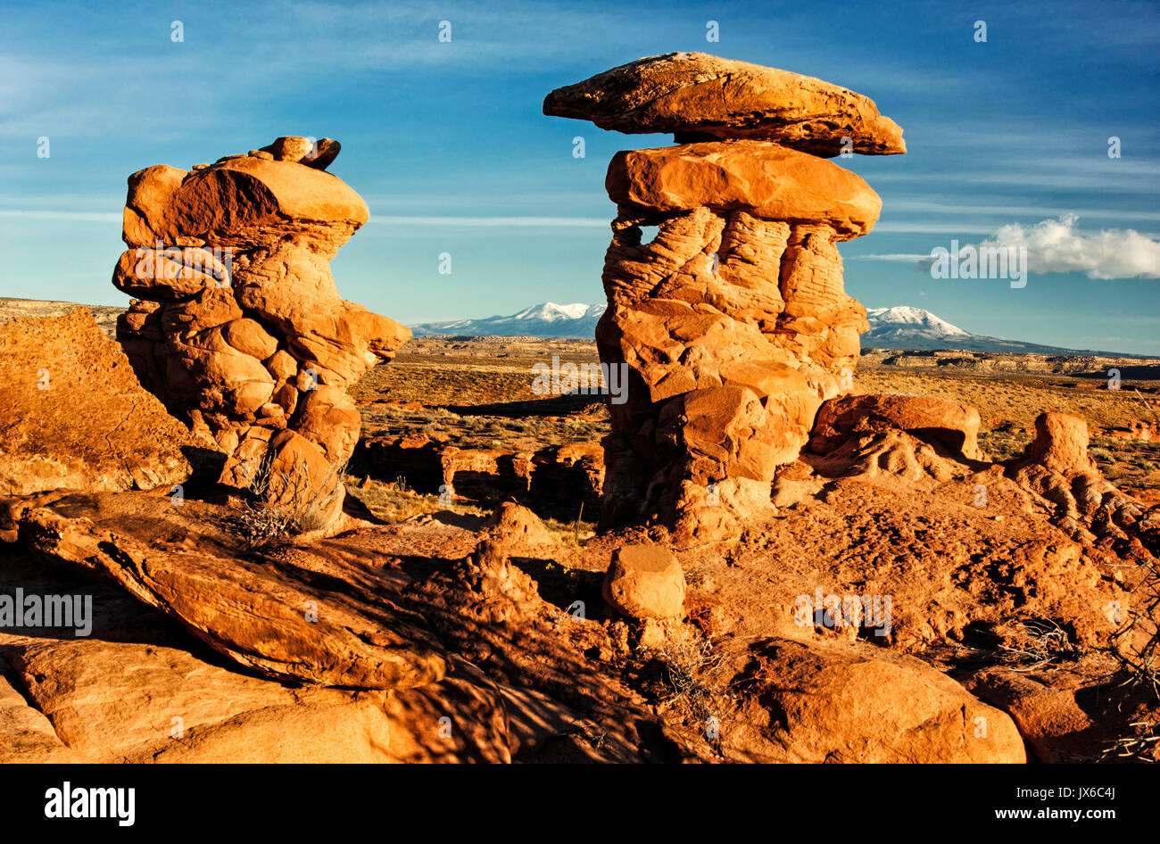 North America; United States; Utah; San Juan County; Bluff; Recapture ...