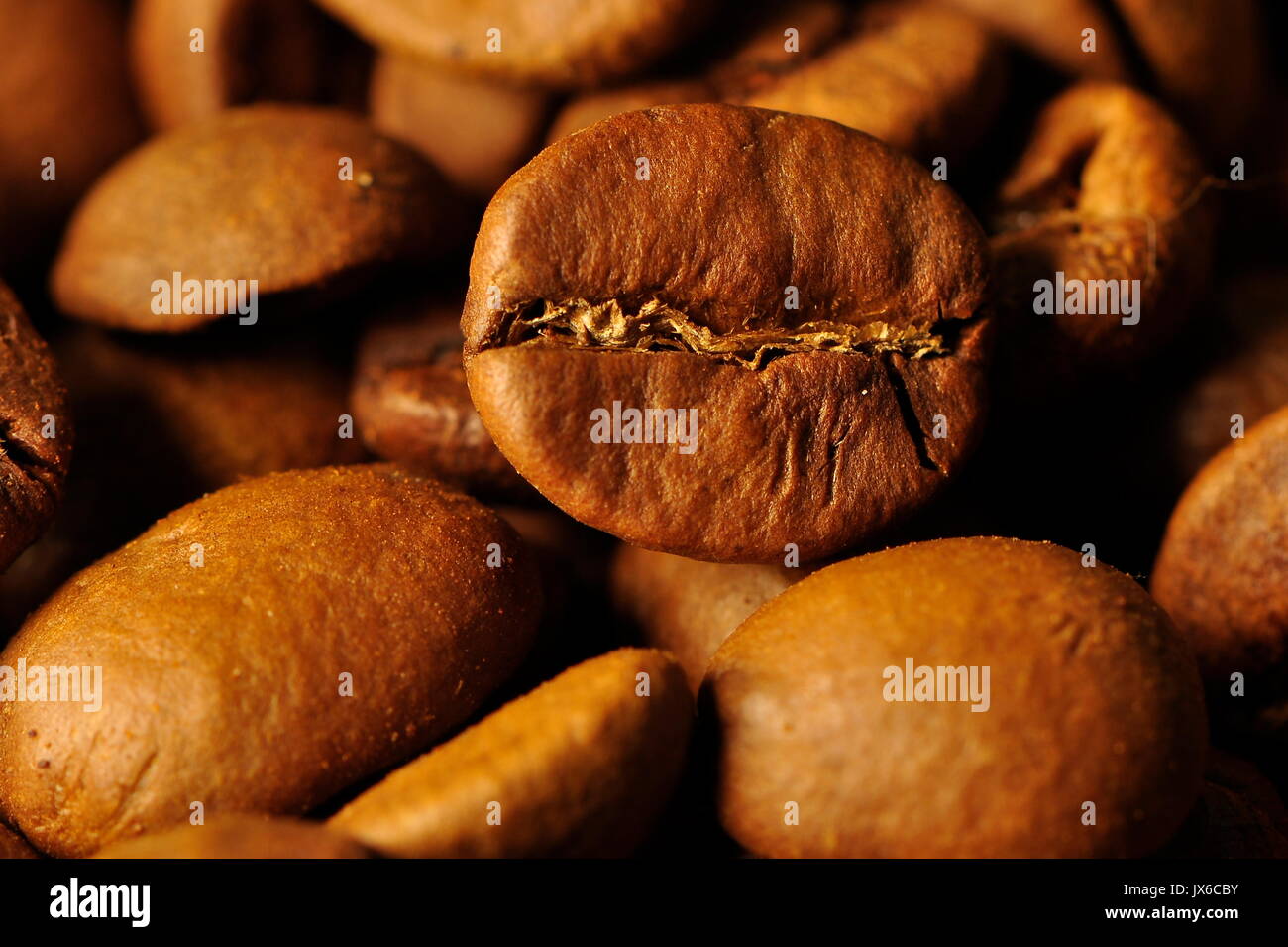 Macro photo of a brazilian coffee bean Stock Photo - Alamy