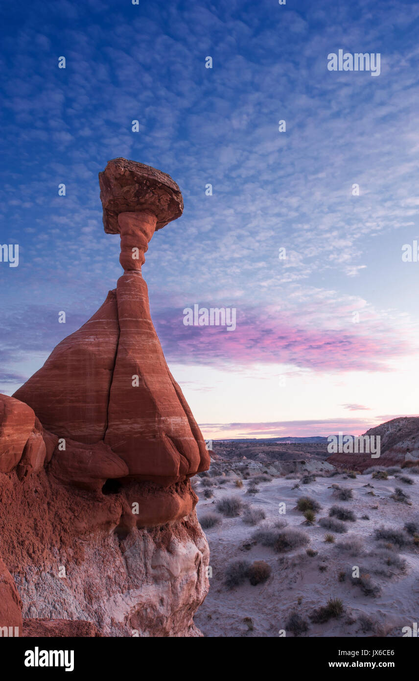 Toadstools, Hoodoos, Escalante-Grand Staircase National Monument; Utah ...