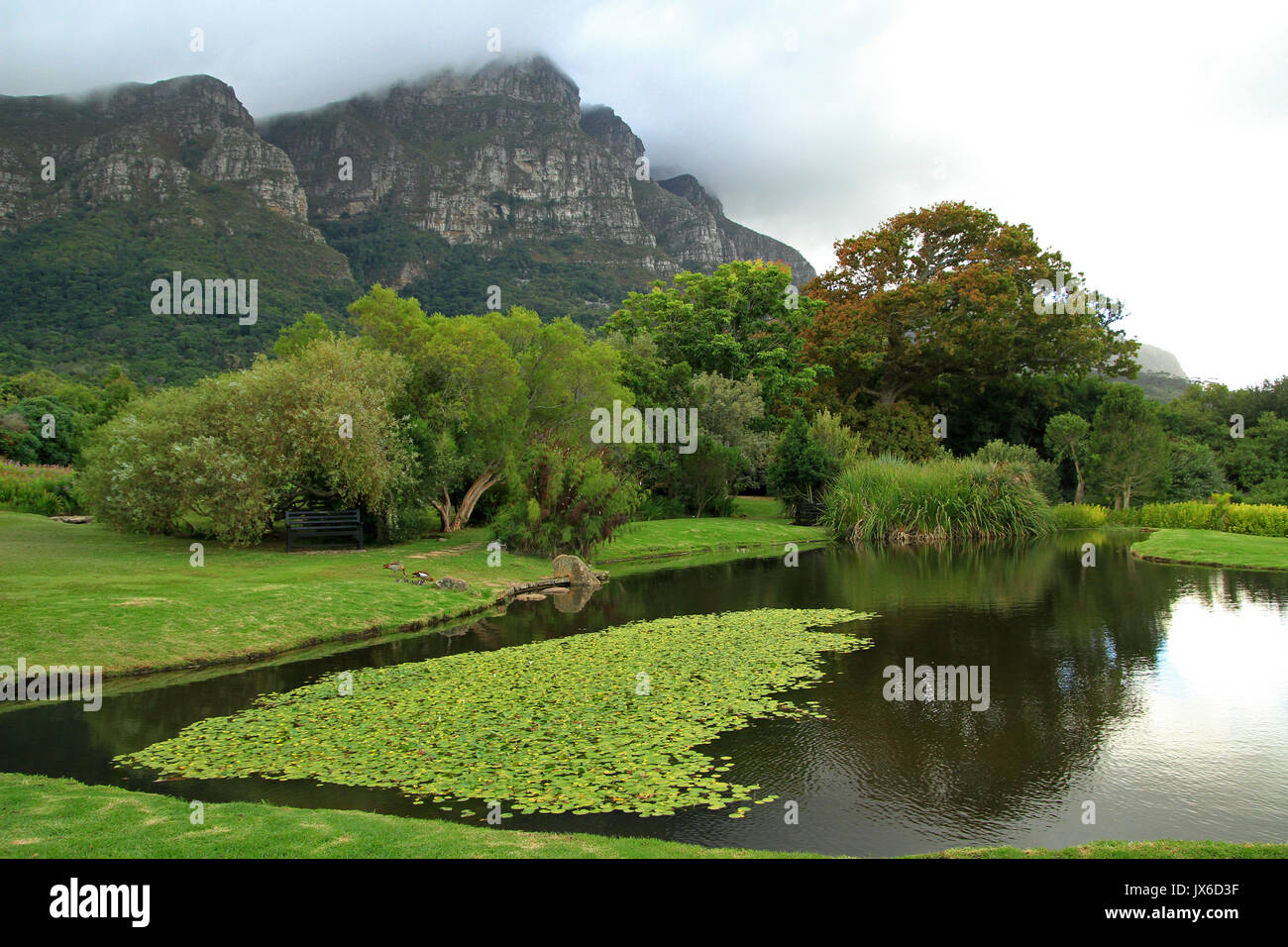 Kirstenbosch National Botanical Garden, Cape Town, South Africa Stock ...