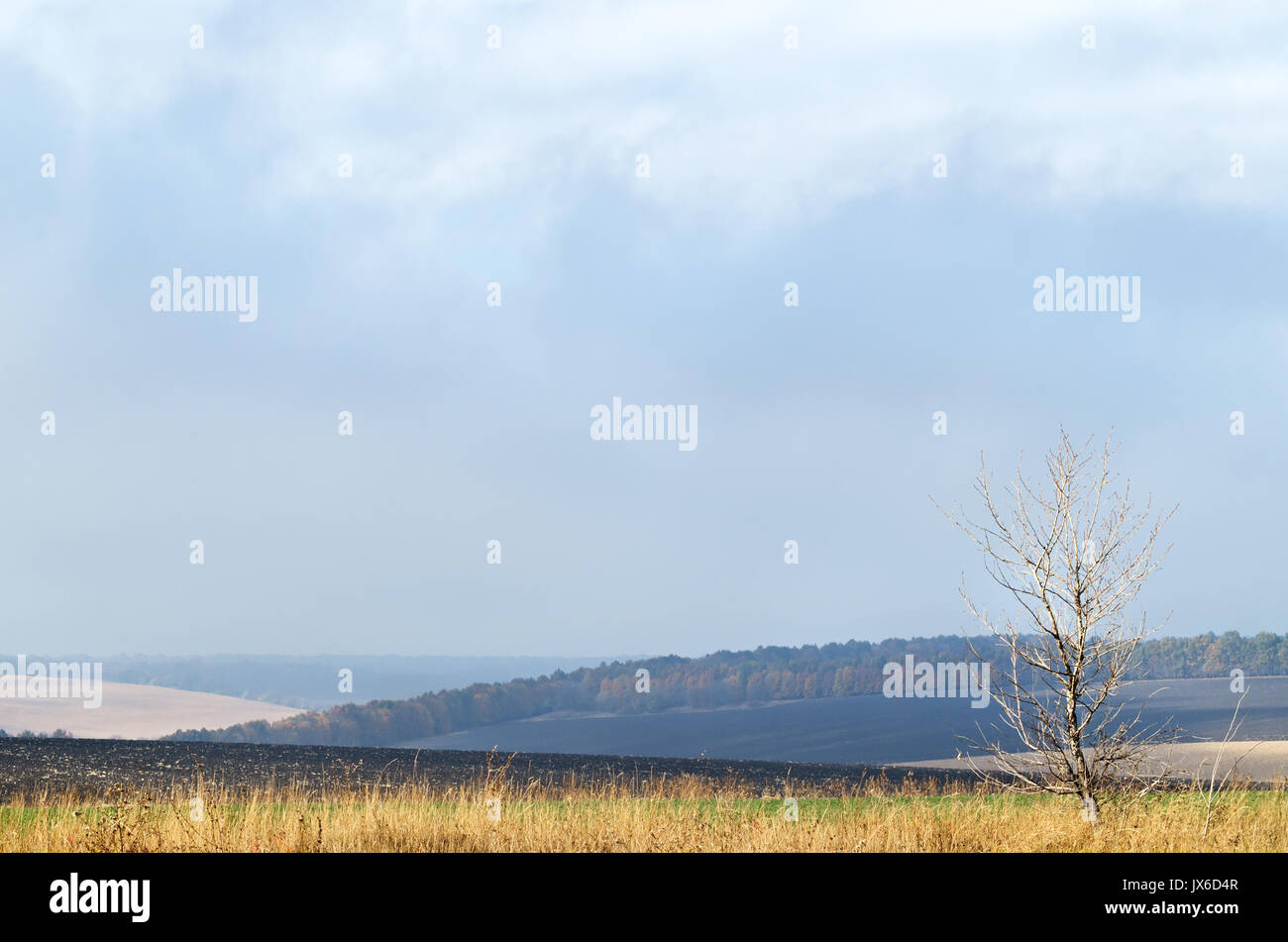 Distortion of nature hi-res stock photography and images - Alamy