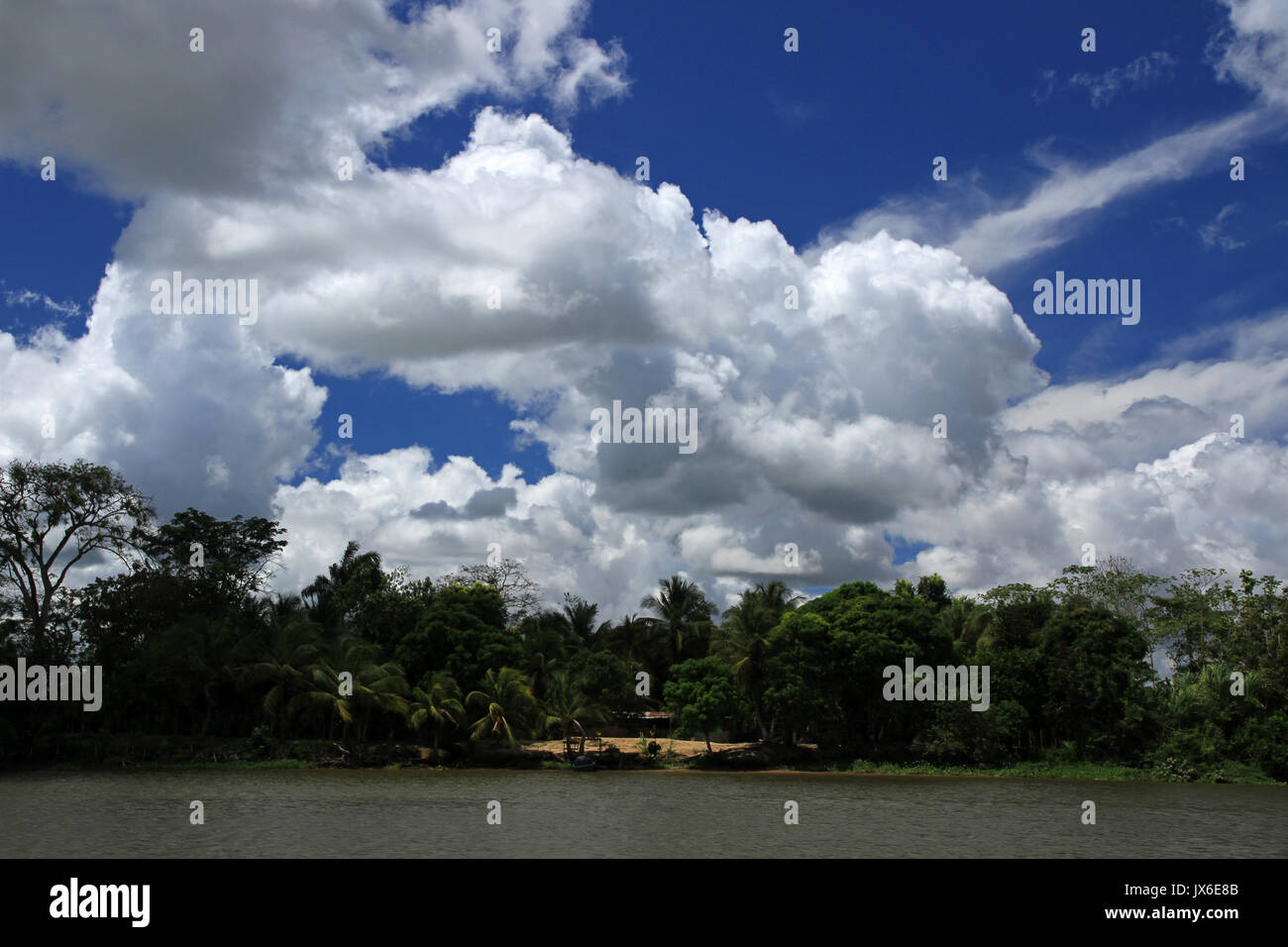 Orinoco river hi-res stock photography and images - Alamy