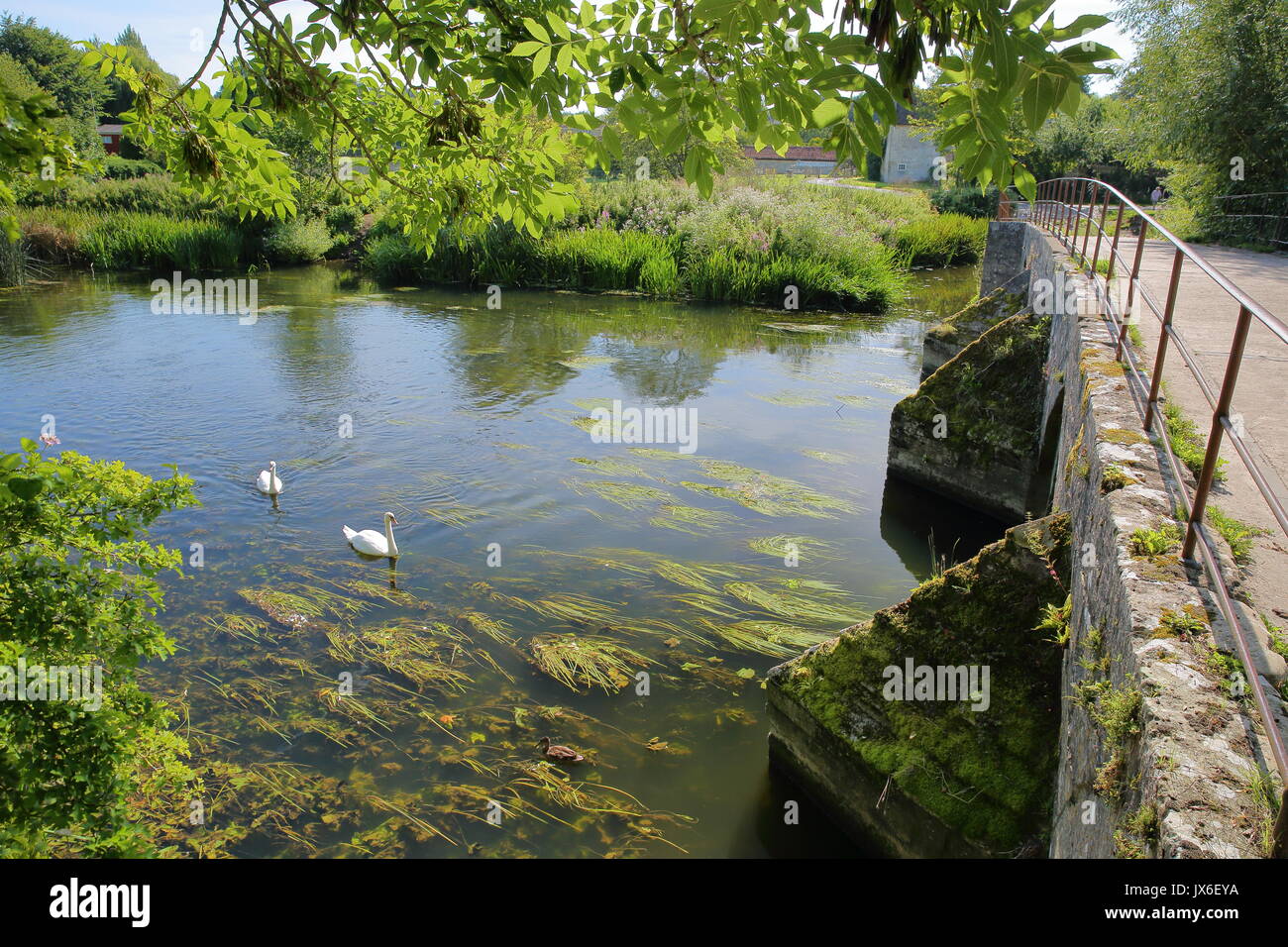 Barton farm hi-res stock photography and images - Alamy
