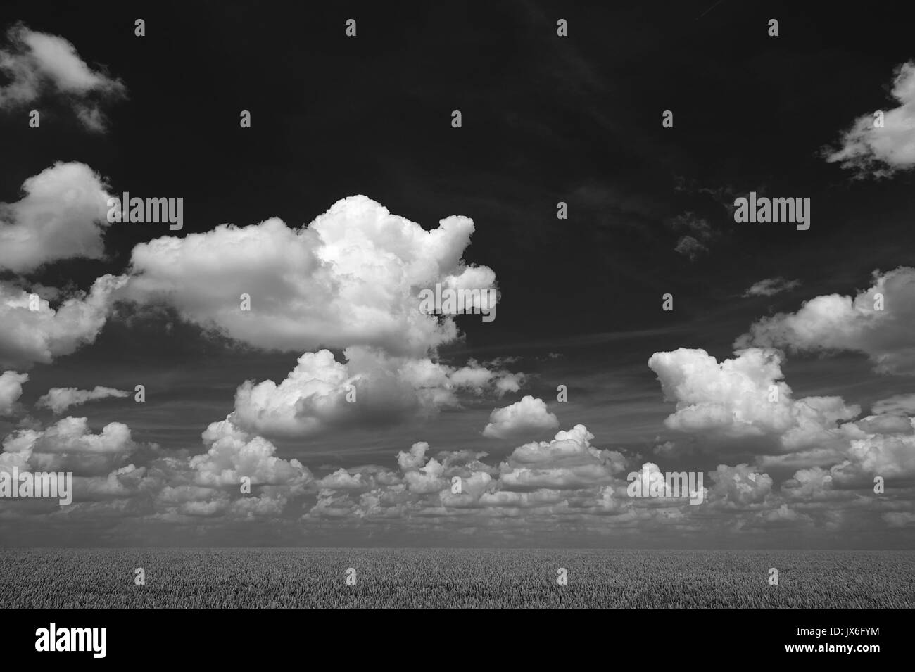 Old countryside mansion in Black and White Stock Photos & Images - Alamy