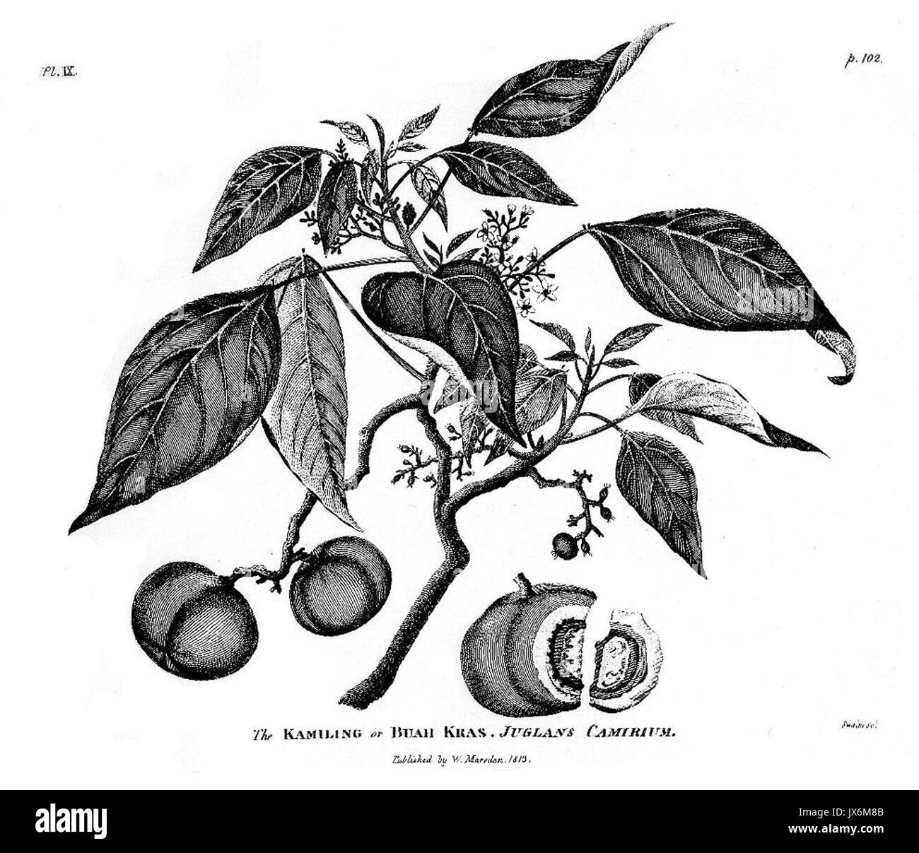 Marsden Pl IX The Kamiling Stock Photo - Alamy