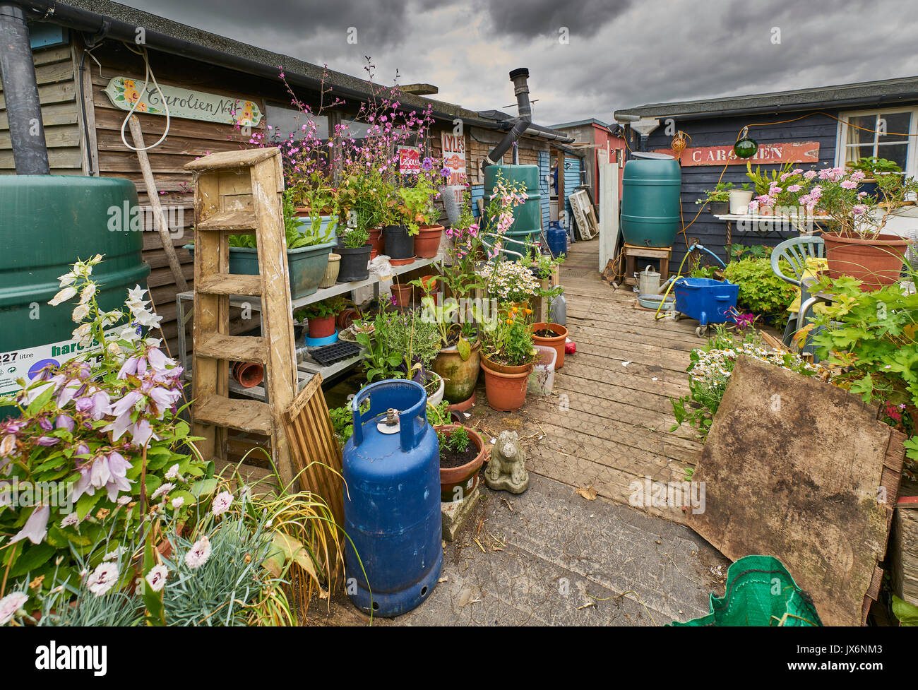 A cluttered backyard patio garden with flower pots Stock Photo - Alamy