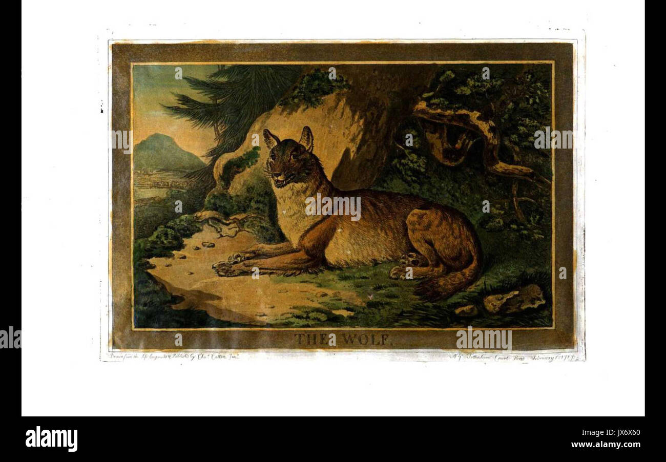 Cattons hi-res stock photography and images - Alamy