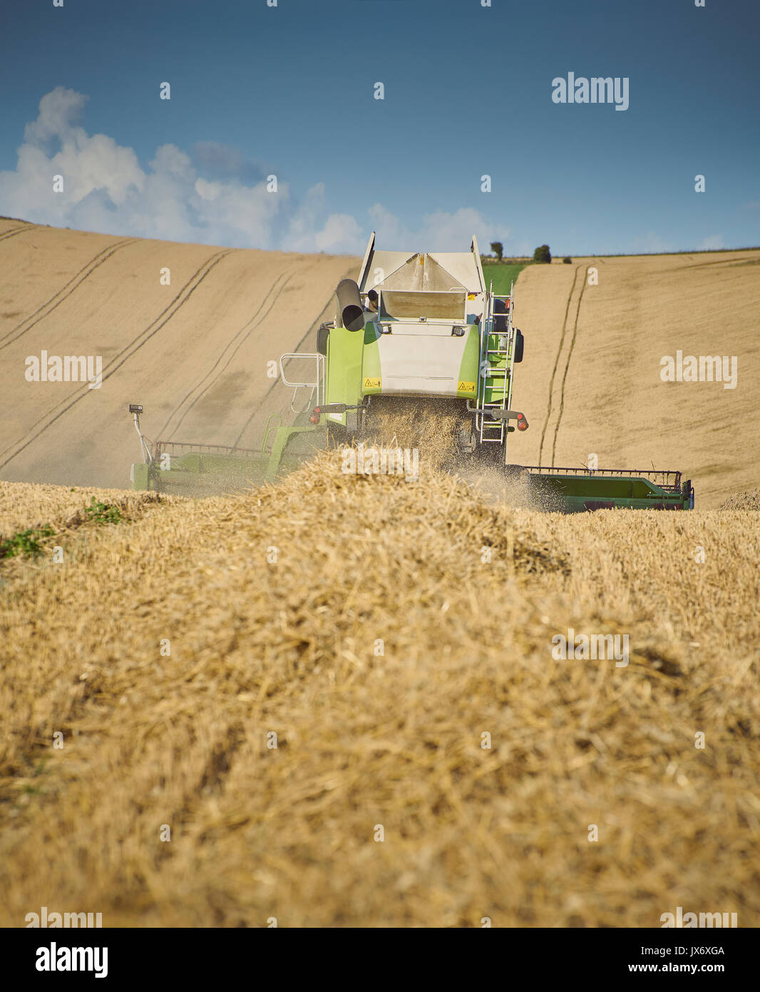 Combine harvesting wheat in a field in the South Downs Stock Photo - Alamy
