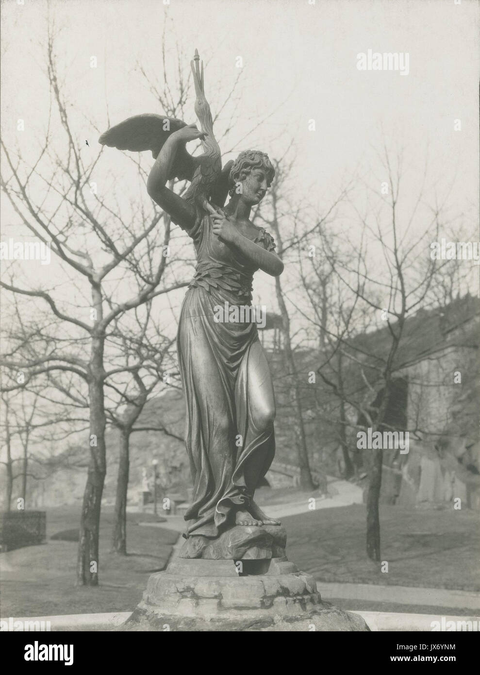 Wallace bird hi-res stock photography and images - Alamy