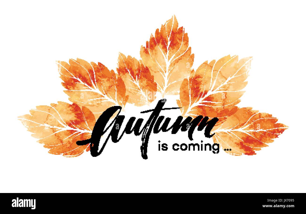 Watercolor painted autumn leaves banner. Fall background design. Vector ...