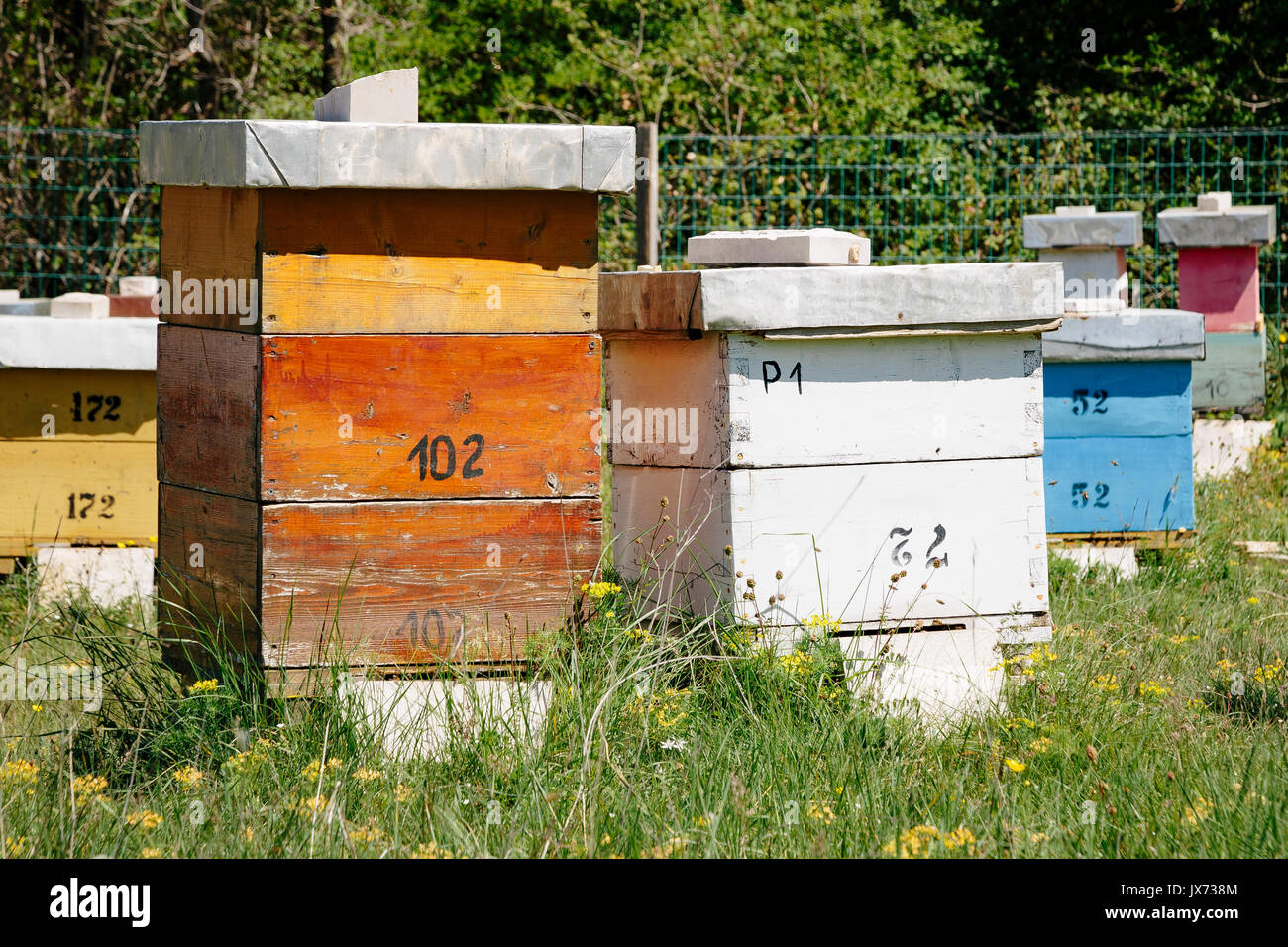 Apiaries and honey bees Stock Photo - Alamy