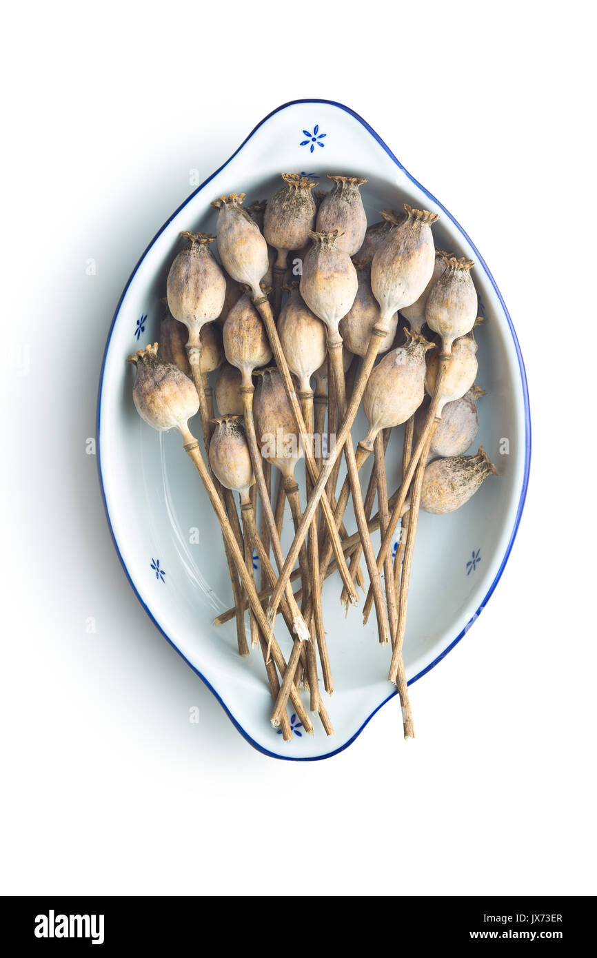 Dried poppy heads isolated on white background. Blue poppy Stock Photo ...