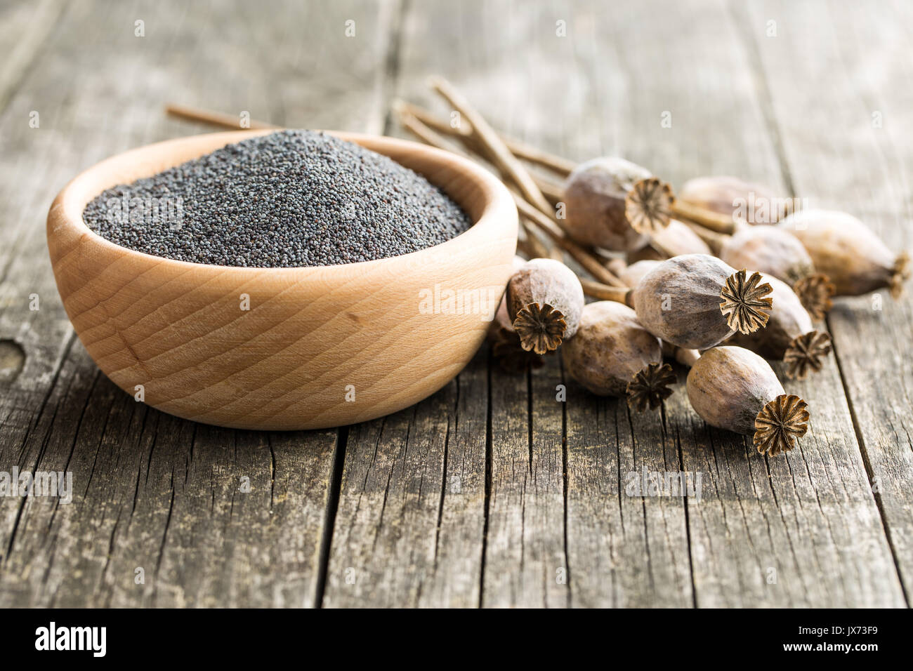 Dried poppy heads and seeds. Blue poppy Stock Photo - Alamy