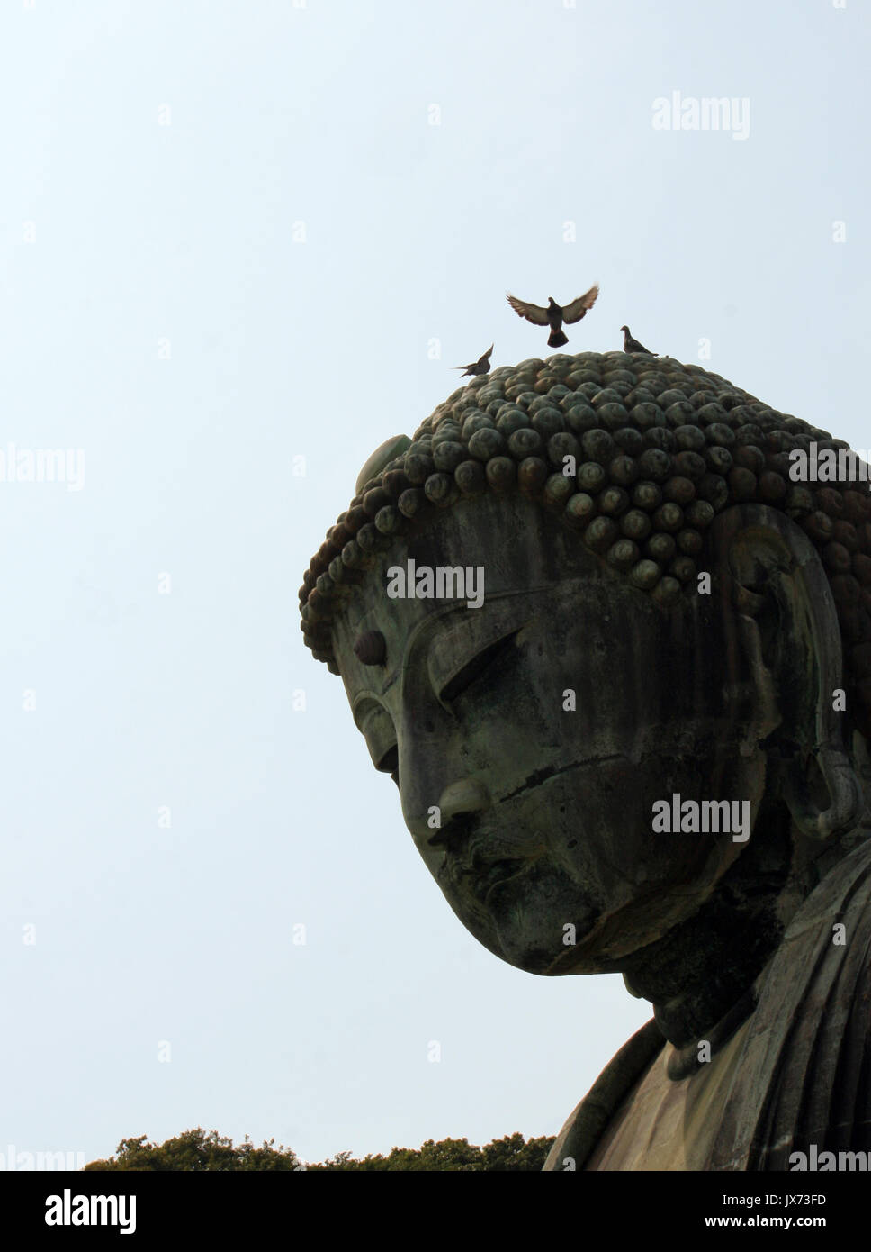 Bird flying from Buddha's head - Kamakura, Japan Stock Photo - Alamy