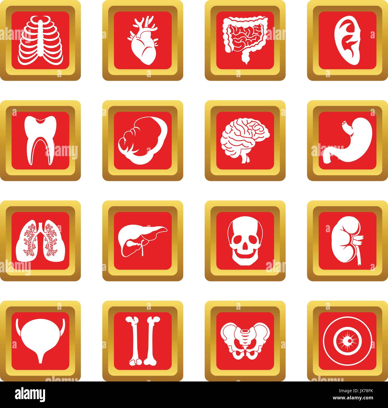 Human organs icons set red Stock Vector Image & Art - Alamy