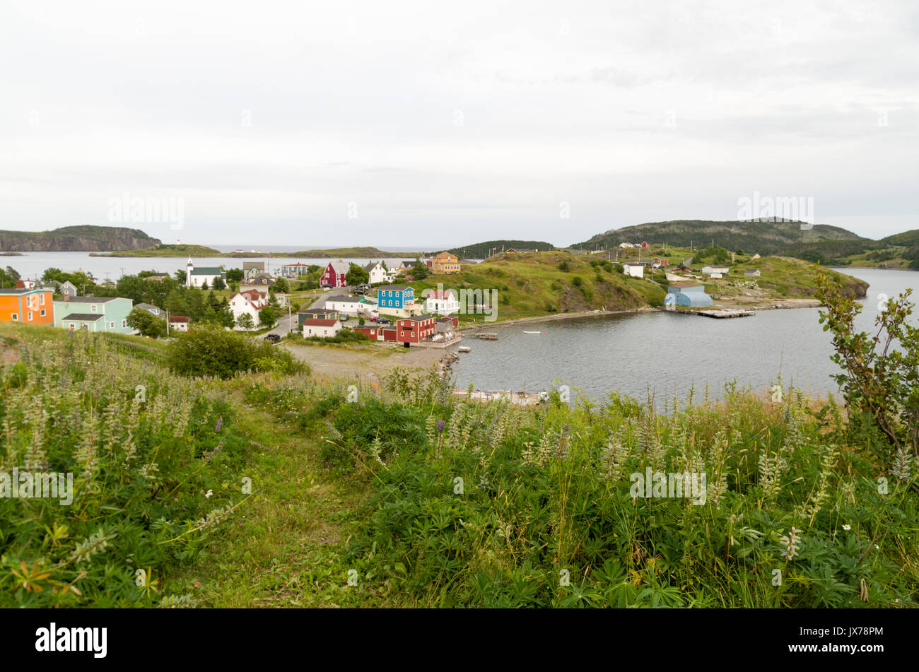 The first fishing admiral came to Trinity in 1579. Year round ...