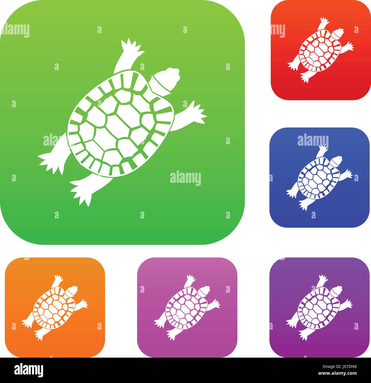 Turtle set collection Stock Vector Image & Art - Alamy