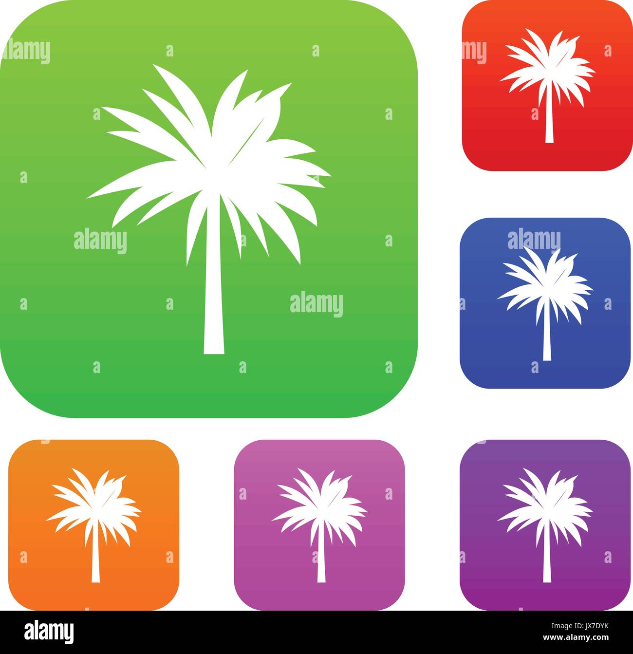 Palm set collection Stock Vector Image & Art - Alamy