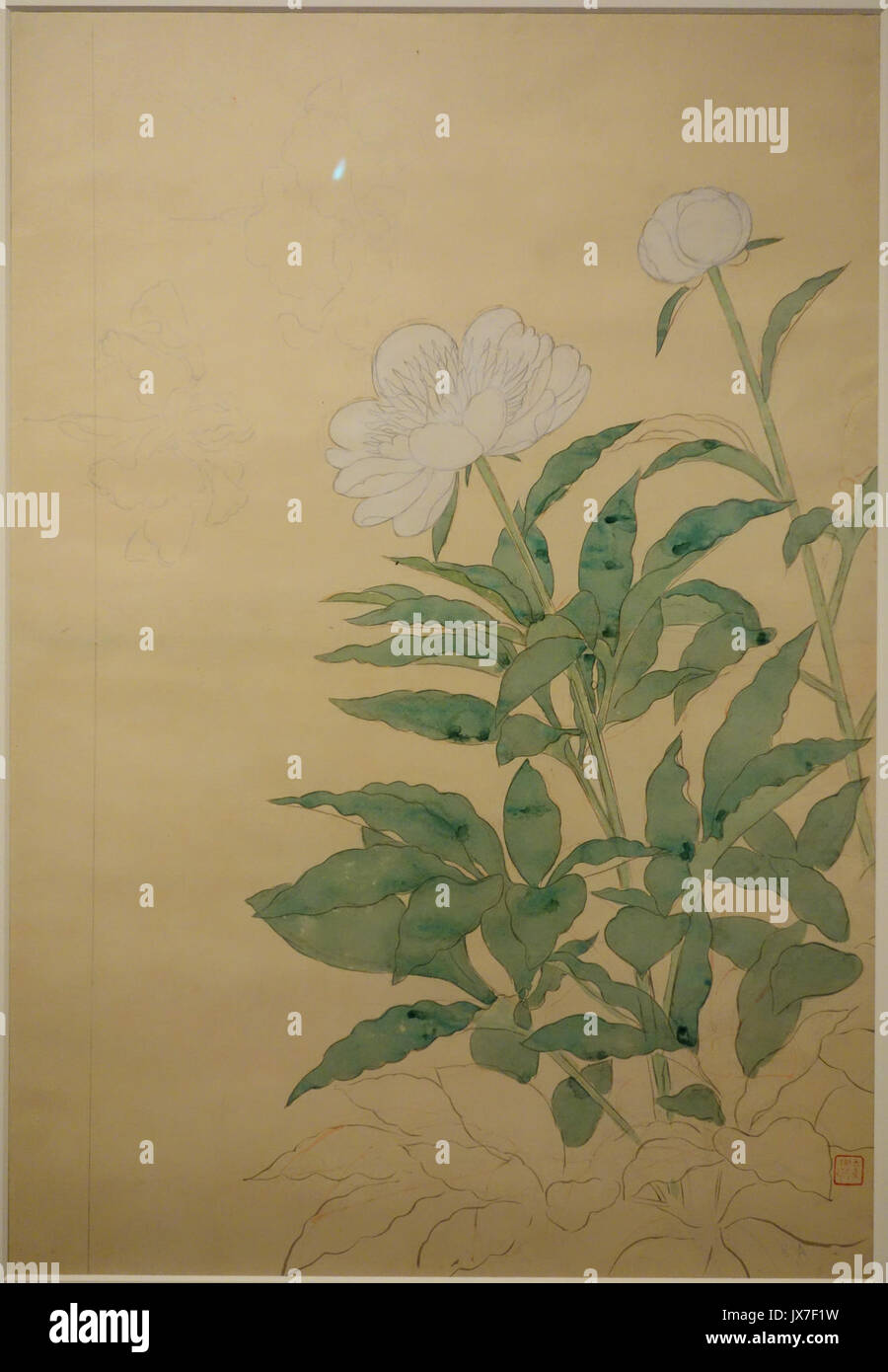 Sketch of Peonies by Bakusen Tsuchida, date unknown, sumi and color on ...